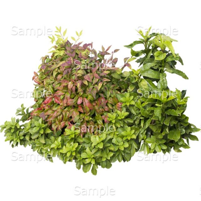 ガーデン – ページ 2 – sozaiya.com