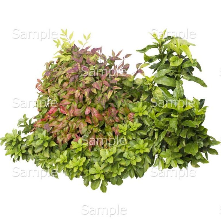 ガーデン – ページ 3 – sozaiya.com