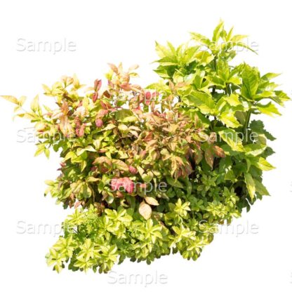 bonhachi_01 – sozaiya.com