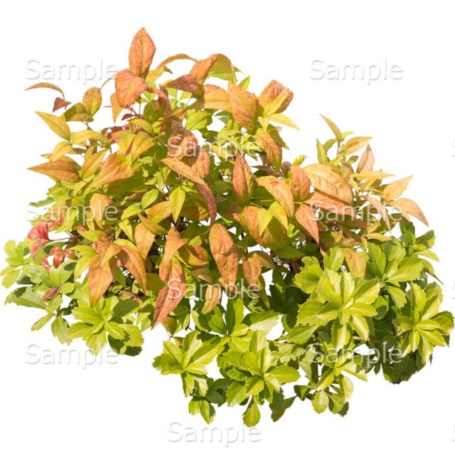 GA_074 – sozaiya.com