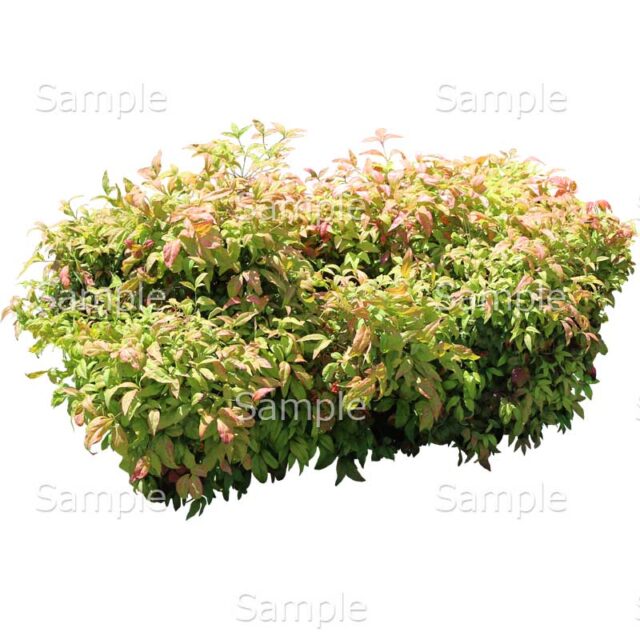 花园 – sozaiya.com