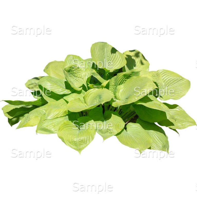 ガーデン – ページ 2 – sozaiya.com