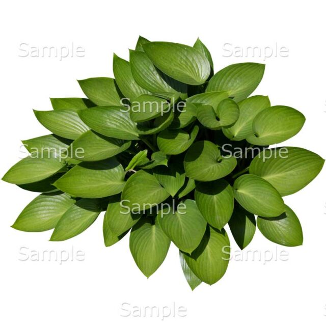 GA_097 – sozaiya.com