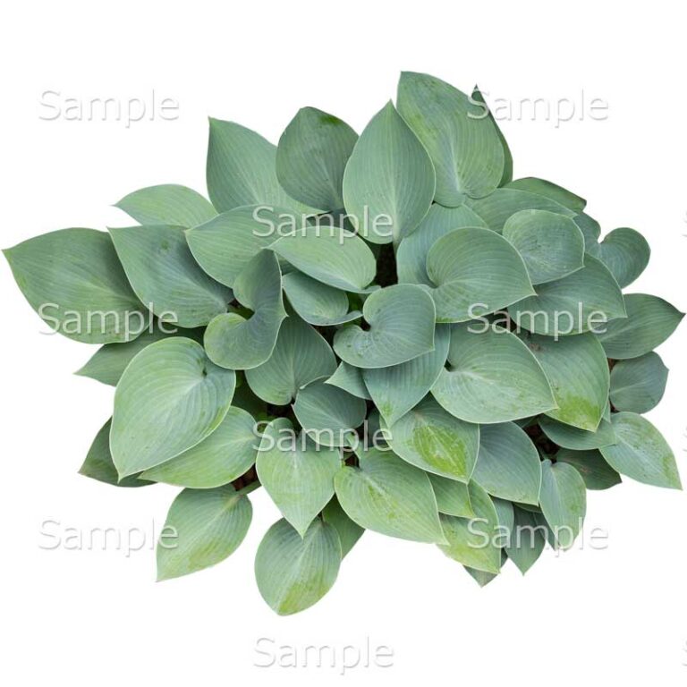 ガーデン – ページ 4 – sozaiya.com