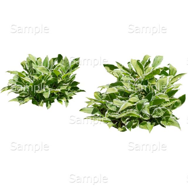 GA_102 – sozaiya.com