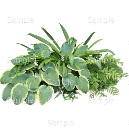 ガーデン – sozaiya.com