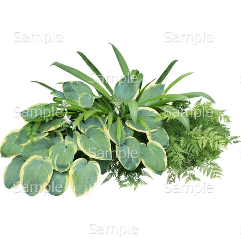 ガーデン – sozaiya.com