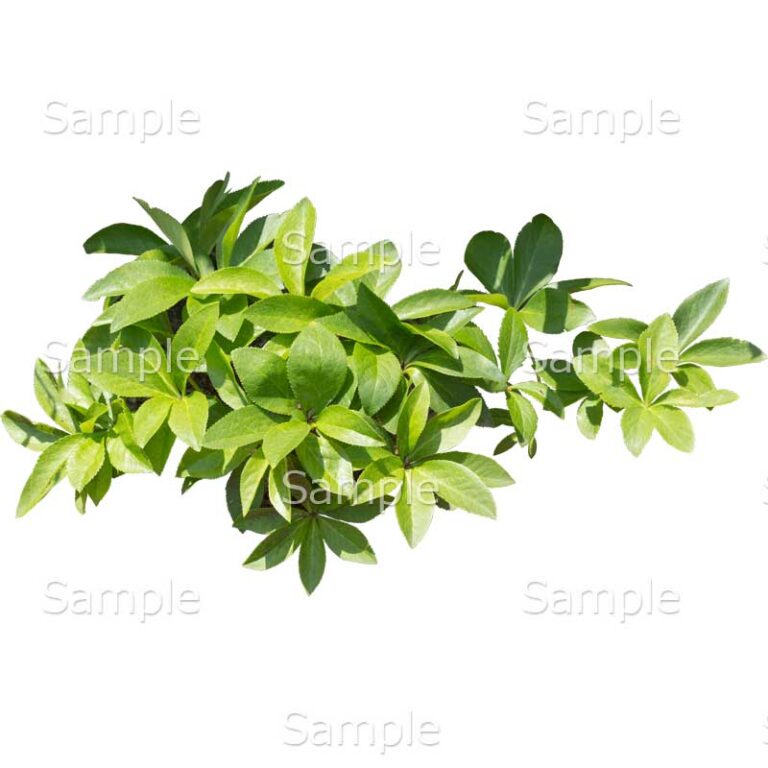 ガーデン – ページ 2 – sozaiya.com