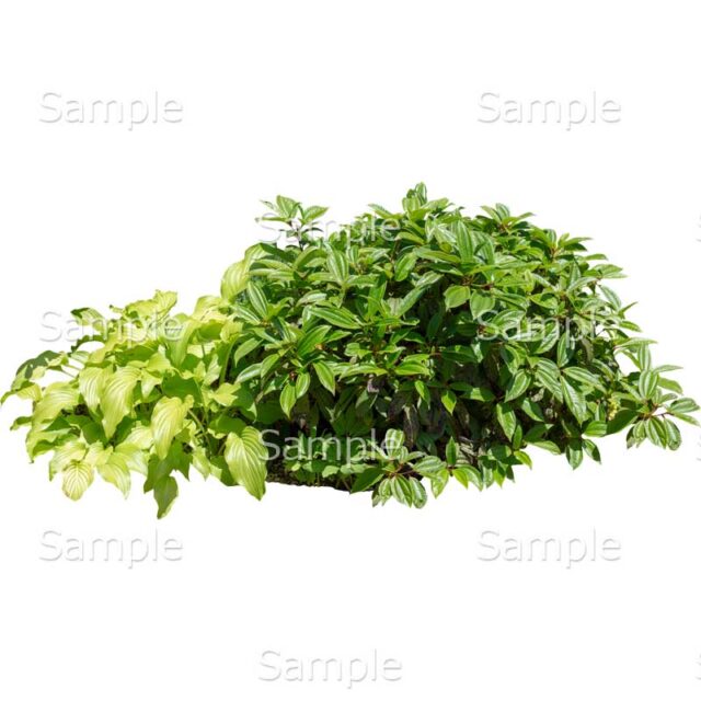 GA_113 – sozaiya.com