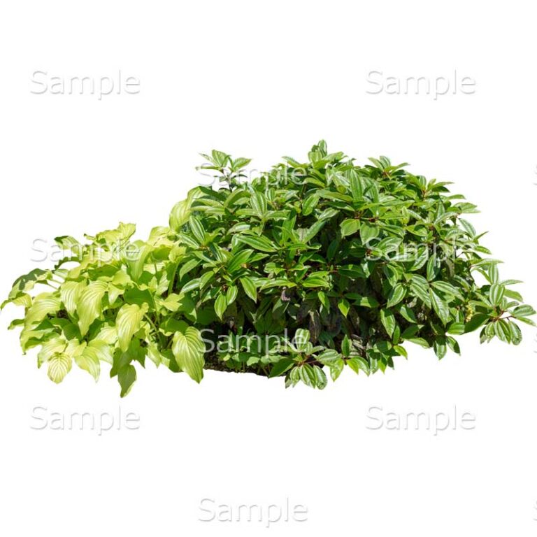 GA_113 – sozaiya.com