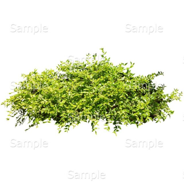 GA_114 – sozaiya.com