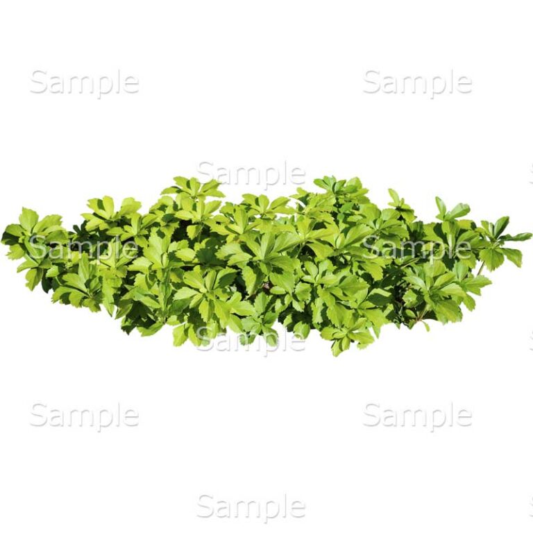 bonhachi_03 – sozaiya.com