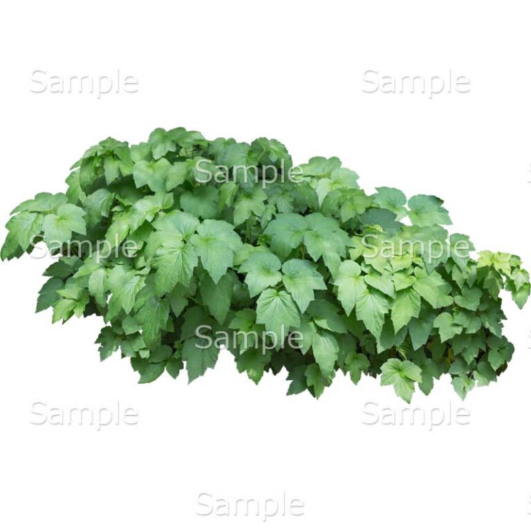 GA_117 – sozaiya.com