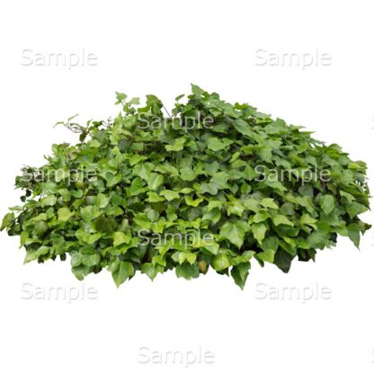 ガーデン – sozaiya.com