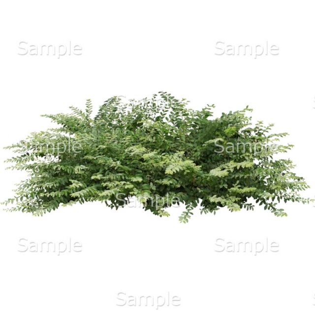 GA_119 – sozaiya.com