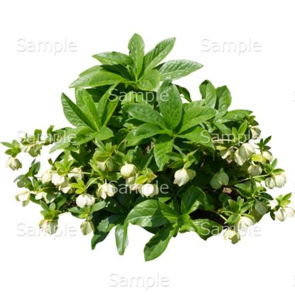 GA_280 – sozaiya.com