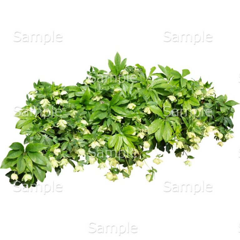 ガーデン – sozaiya.com