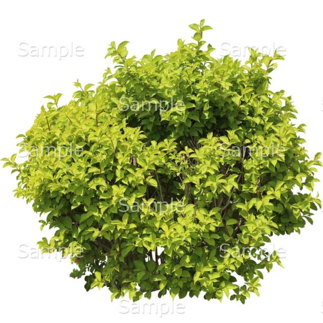 GA_124 – sozaiya.com