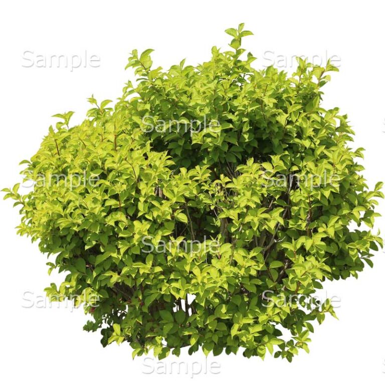 GA_124 – sozaiya.com