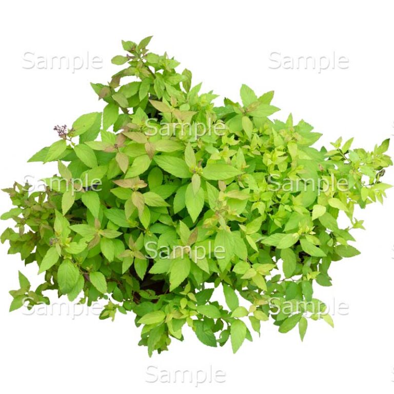 GA_128 – sozaiya.com