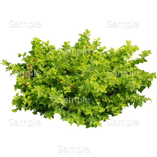 bonhachi_02 – sozaiya.com