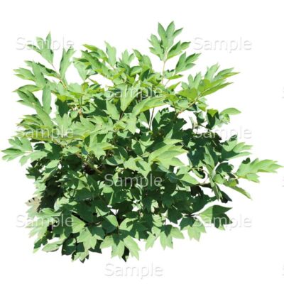 GA_130 – sozaiya.com