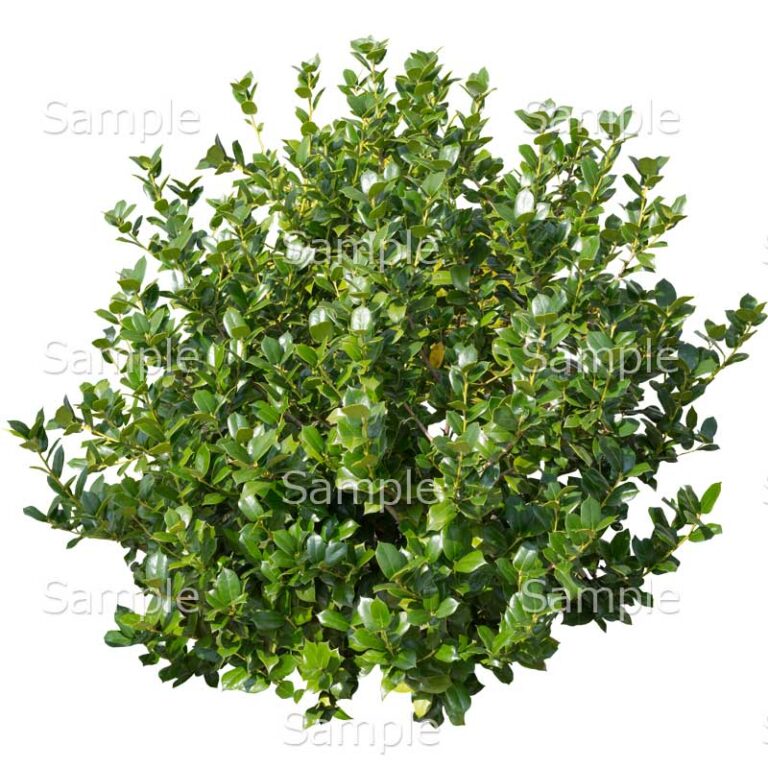 ガーデン – ページ 4 – sozaiya.com