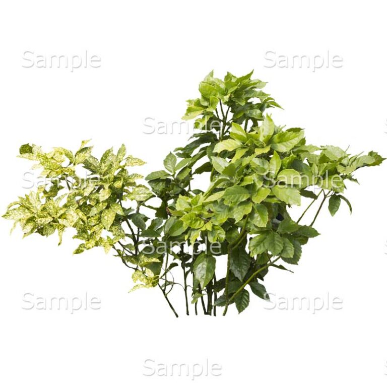 GA_133 – sozaiya.com