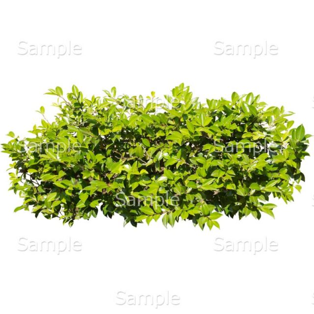 GA_280 – sozaiya.com