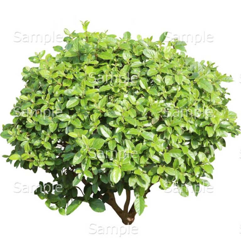 GA_280 – sozaiya.com