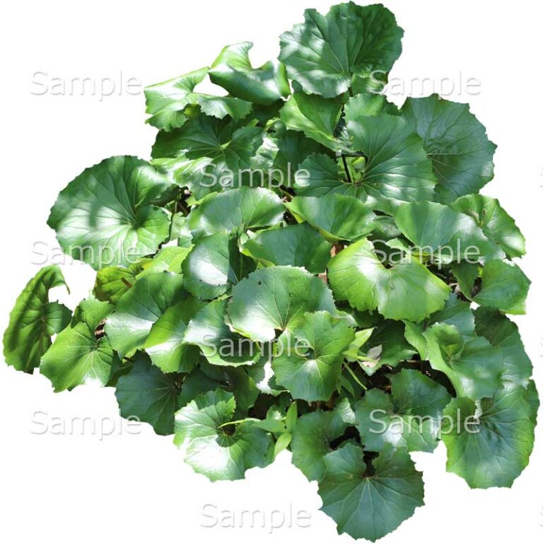 GA_140 – sozaiya.com