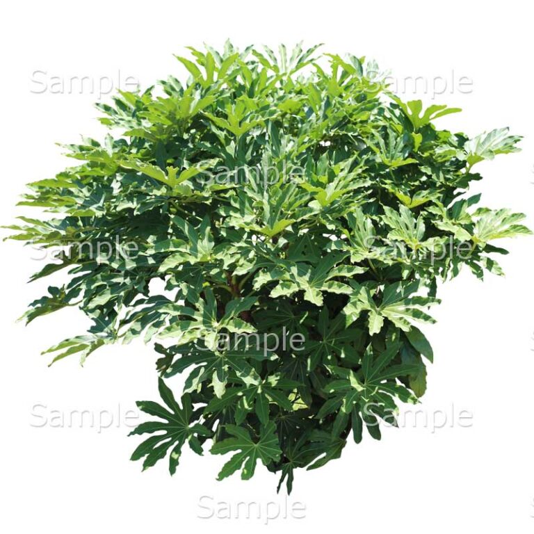 bonhachi_03 – sozaiya.com