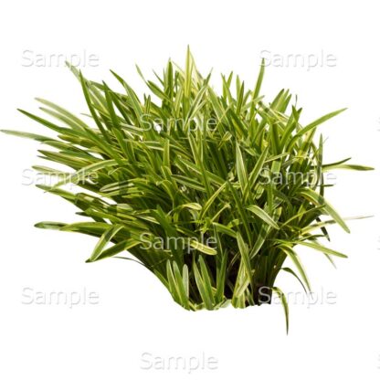 GA_144 – sozaiya.com