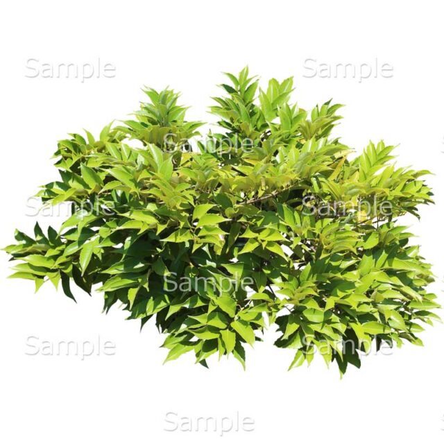 GA_147 – sozaiya.com