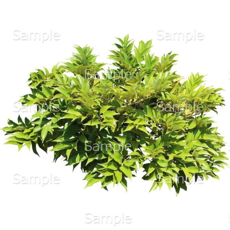 GA_147 – sozaiya.com