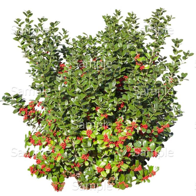 GA_148 – sozaiya.com