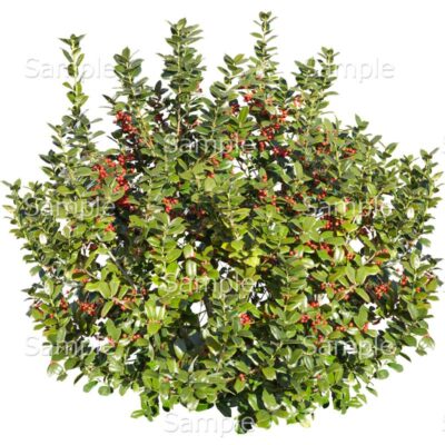 GA_149 – sozaiya.com