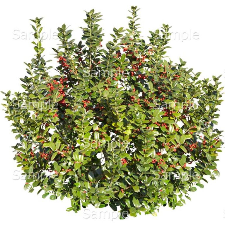 bonhachi_03 – sozaiya.com