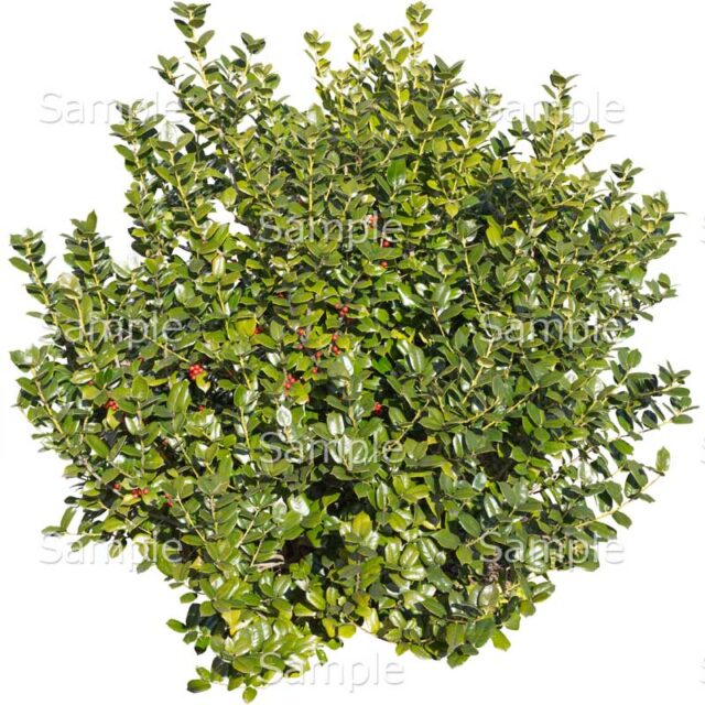 GA_150 – sozaiya.com