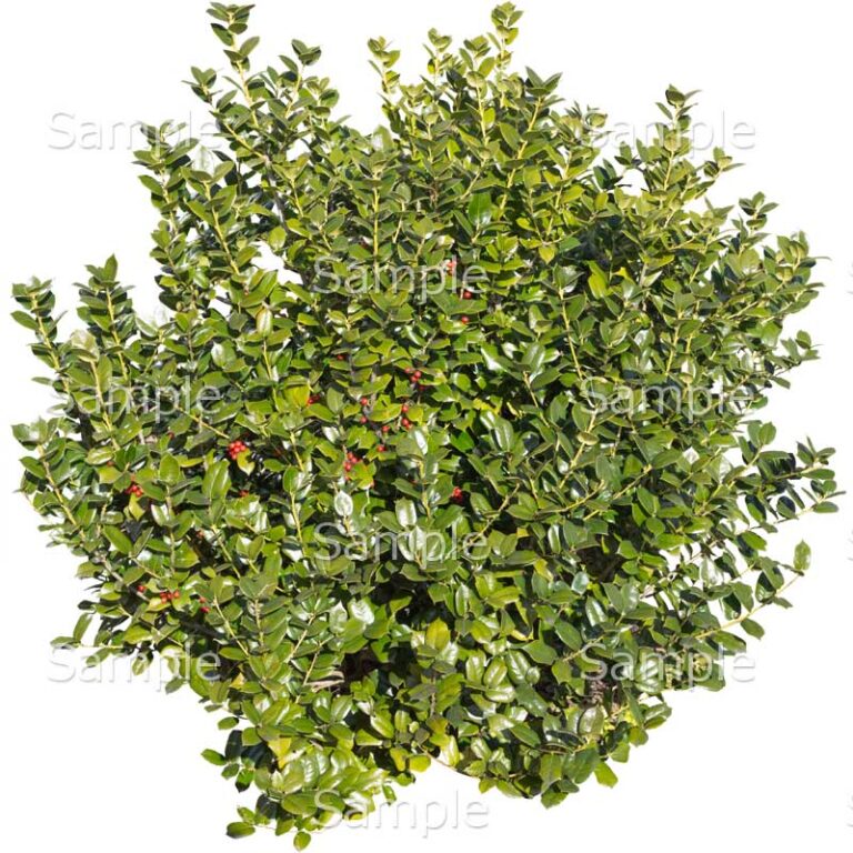 ガーデン – ページ 2 – sozaiya.com