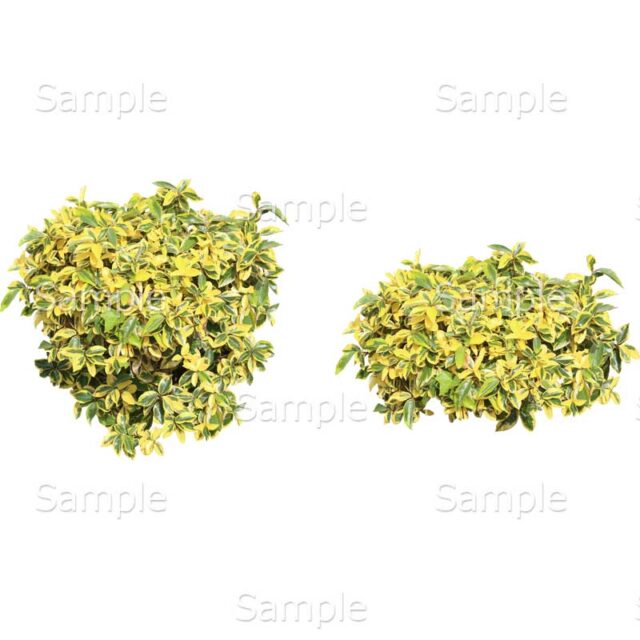 ガーデン – sozaiya.com