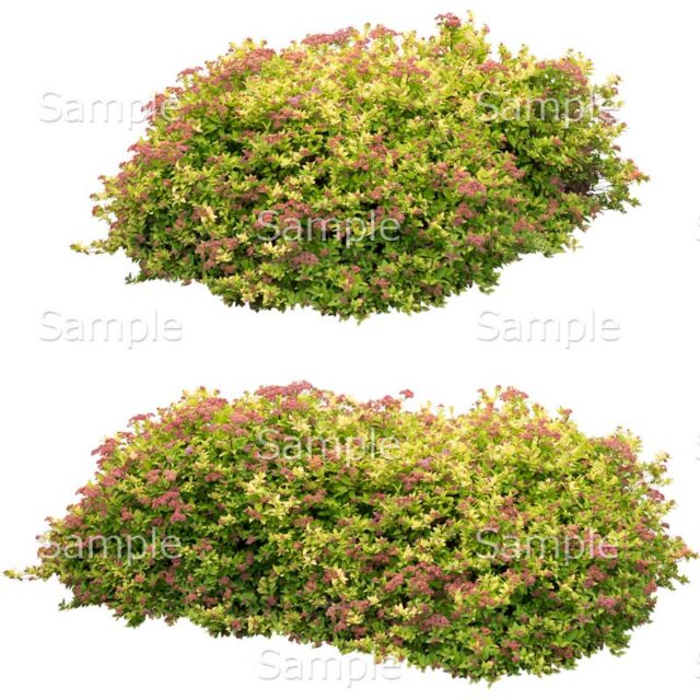 GA_201 – sozaiya.com