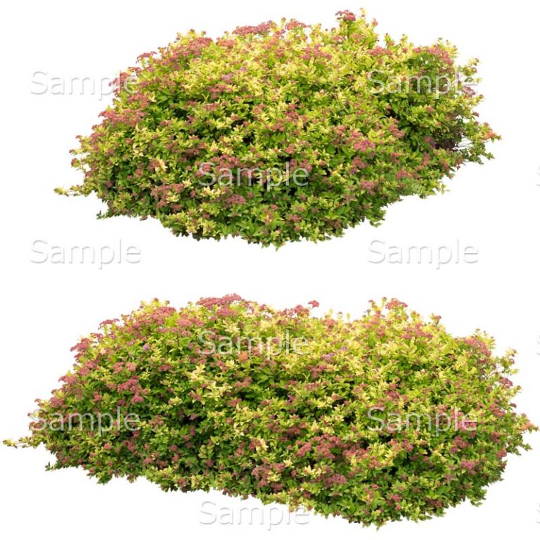 GA_152 – sozaiya.com