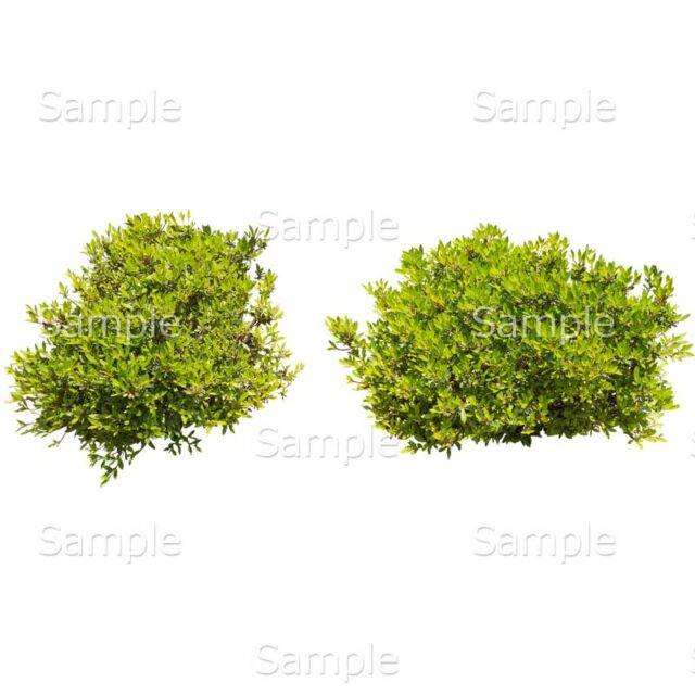 ガーデン – sozaiya.com