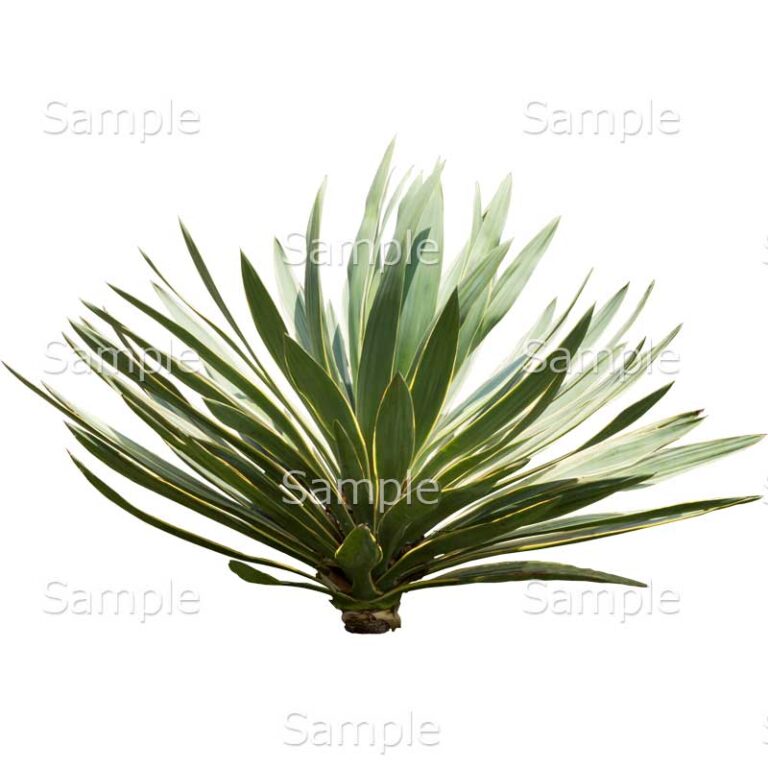 ガーデン – sozaiya.com