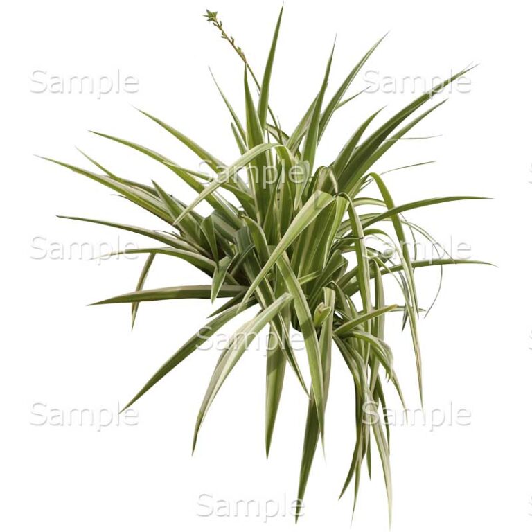 ガーデン – ページ 2 – sozaiya.com