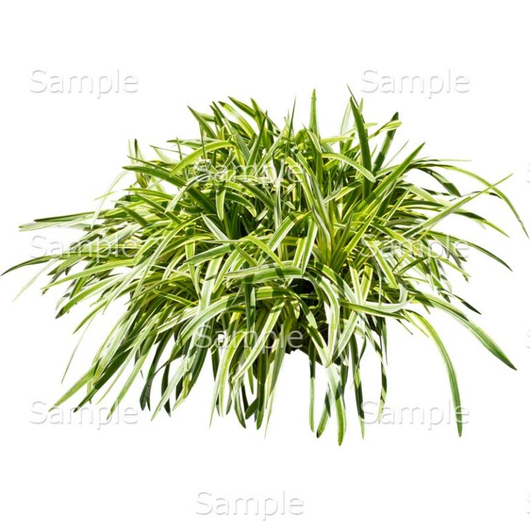 ガーデン – ページ 2 – sozaiya.com