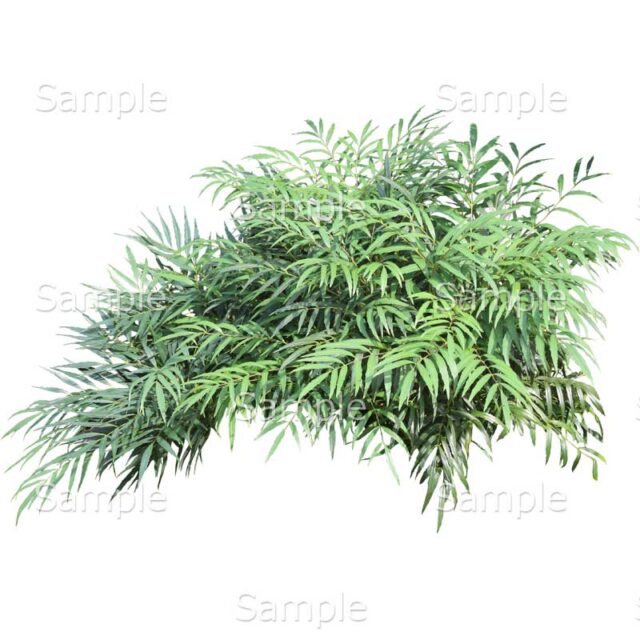 GA_159 – sozaiya.com