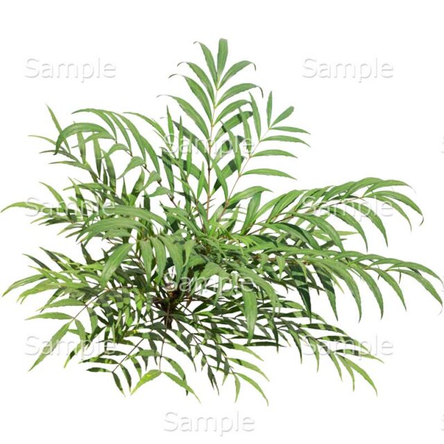 GA_160 – sozaiya.com