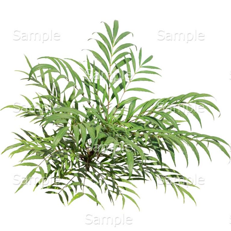 GA_160 – sozaiya.com